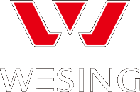 WESING Wushu – wesingstore.com